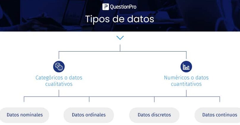 Concepto De Dato En Estadística: Definición y Tipos Esenciales · [ 2025 ]